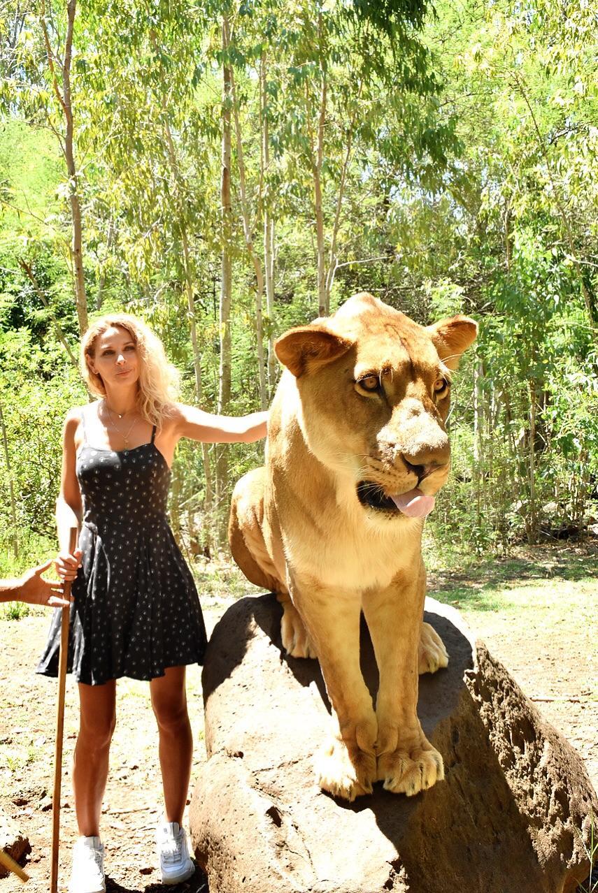 Walking With Lions Mauritius - Expedition Tour Mauritius