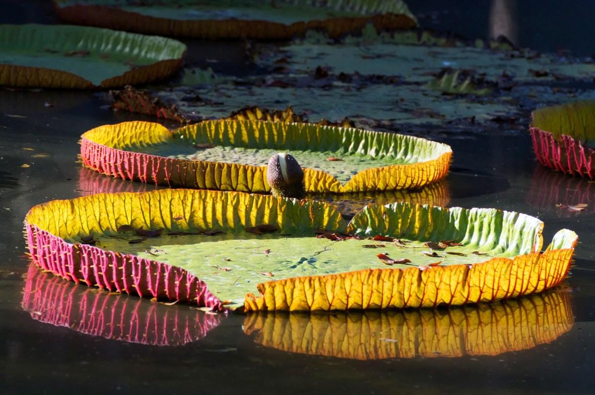 Things To Do in Mauritius | Attractions & Activities